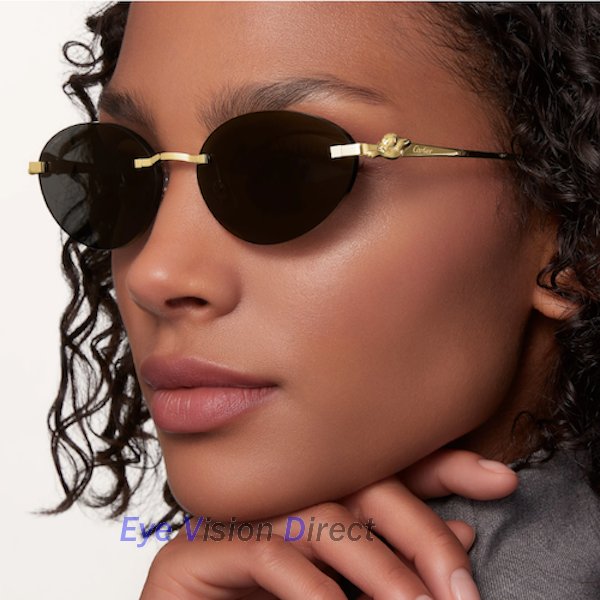 パンテール ドゥ カルティエ サングラス CT0504S 001