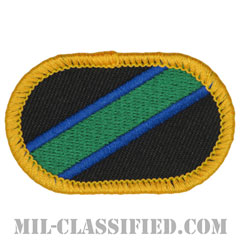 情報支援活動部隊（Intelligence Support Activity (ISA)）[カラー/メロウエッジ/オーバルパッチ ...